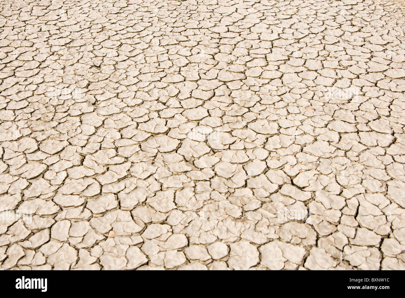 Image of splitting ground of desert with many cracks Stock Photo - Alamy