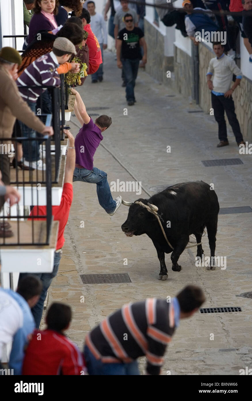 People fill a street during a fighting bull running loose at the annual ...