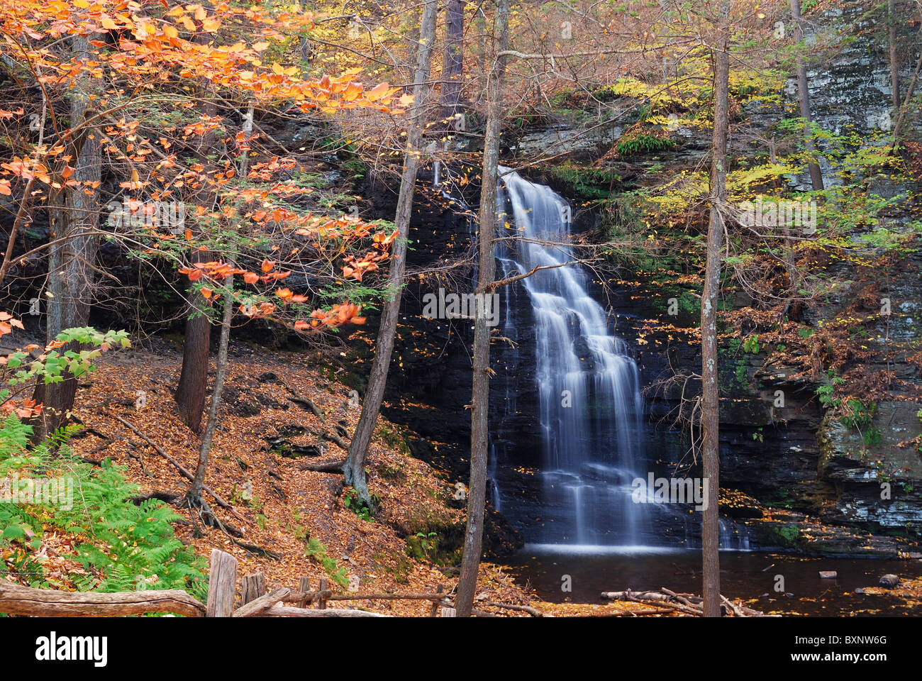 Bushkill waterfalls hi-res stock photography and images - Alamy
