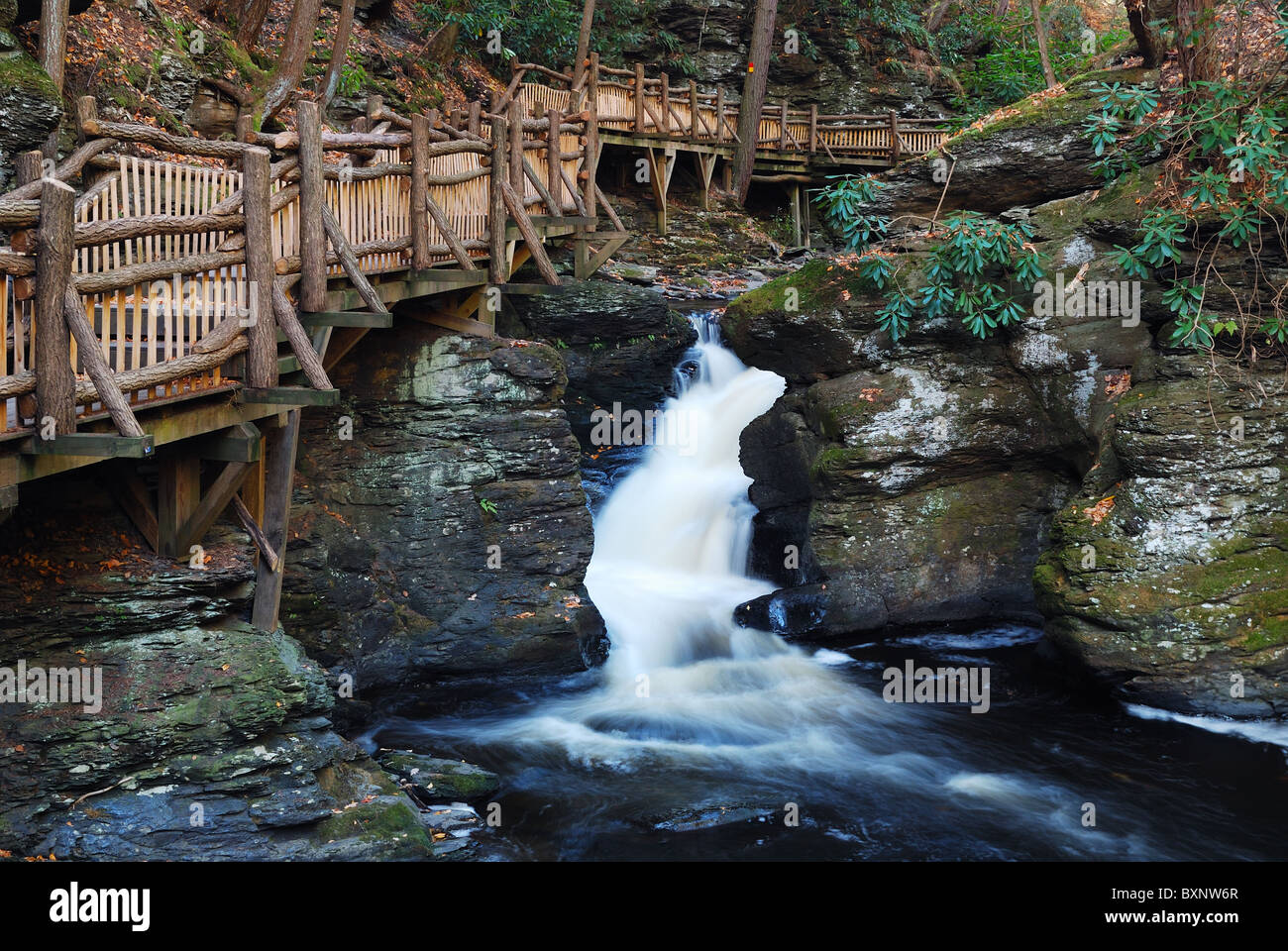 Autumn creek with hiking trails and foliage in forest. From Bushkill ...
