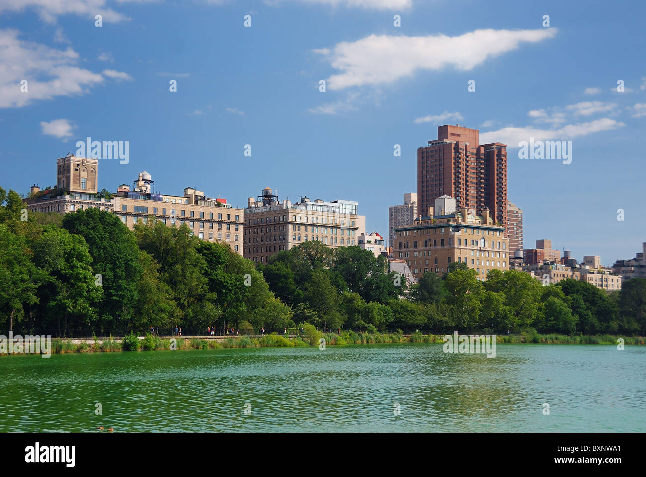 New York City Central Park urban Manhattan skyline with skyscrapers and ...
