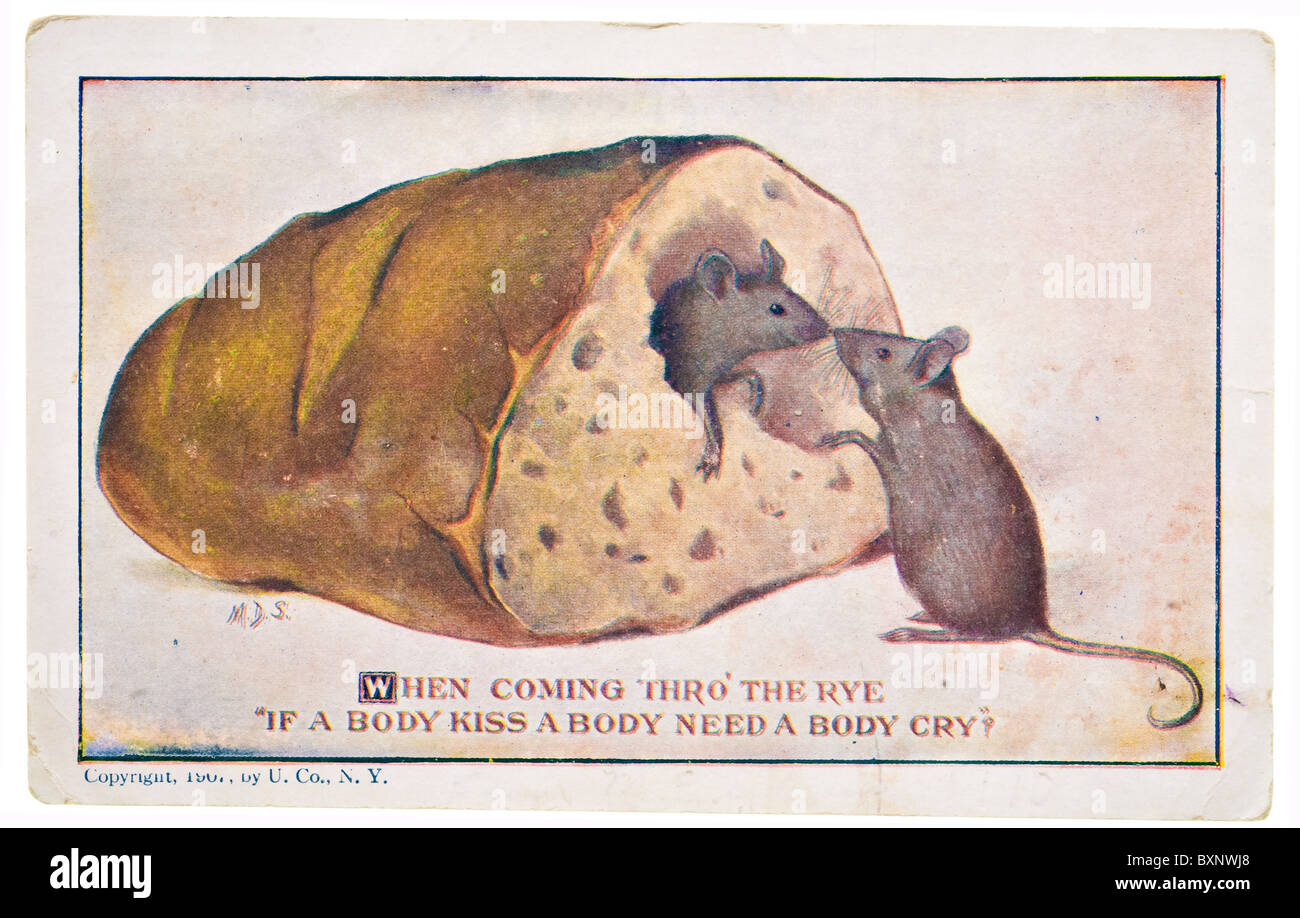 Vintage postcard depicting two mice playing in a loaf of bread Stock ...