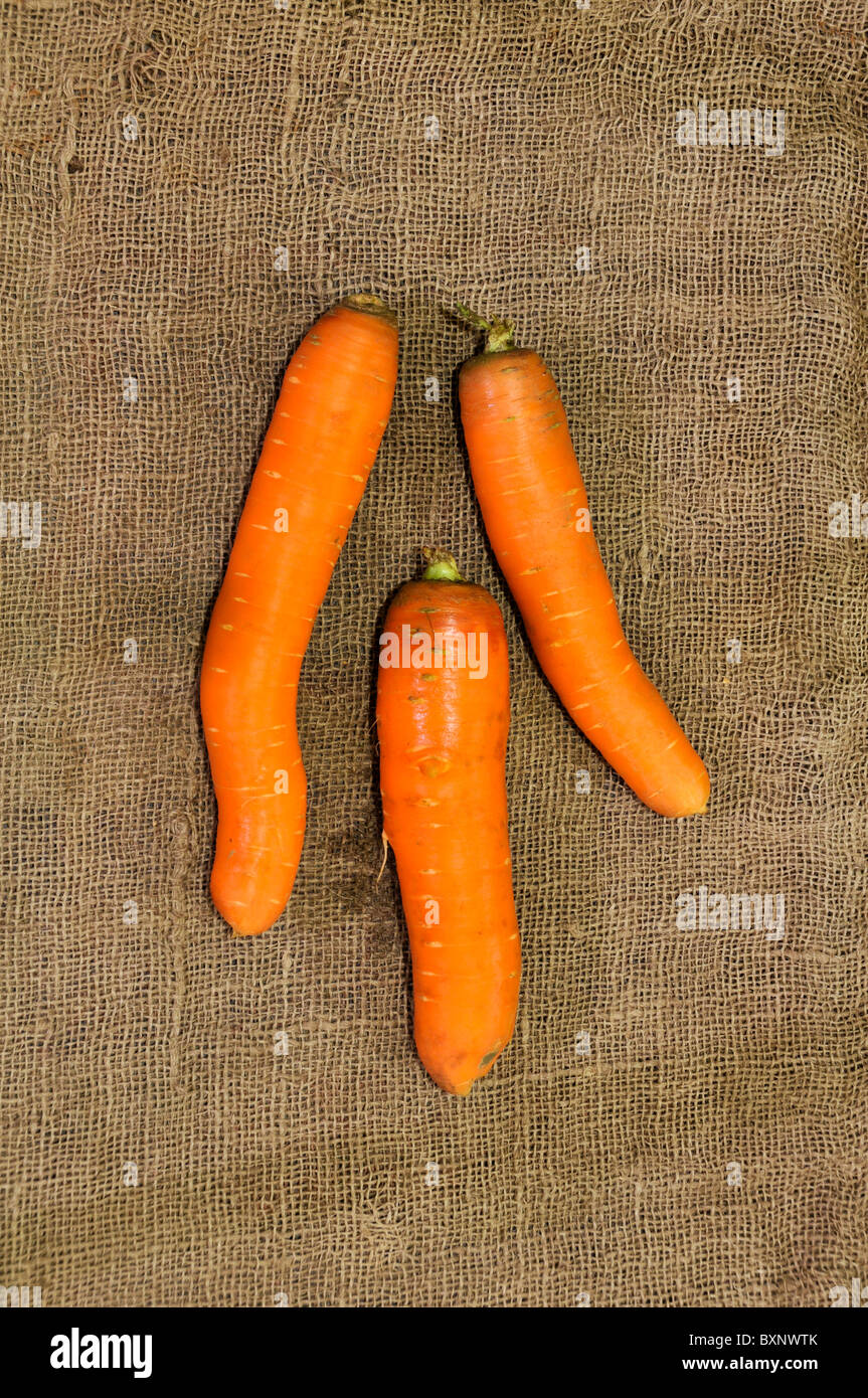 Three carrots on burlap background Stock Photo - Alamy