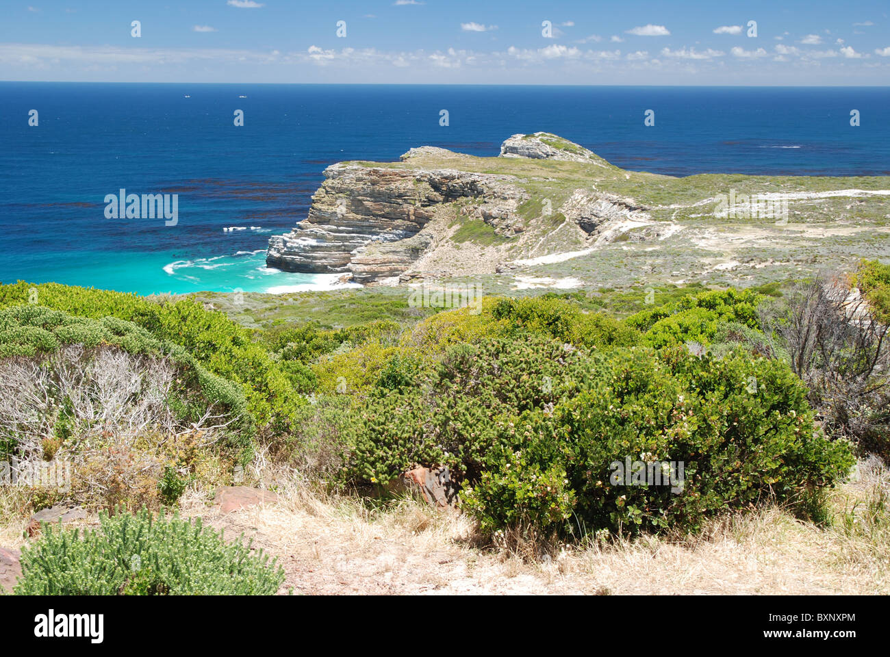 Beautiful scenery with a view to the sea in Western Cape, South Africa ...