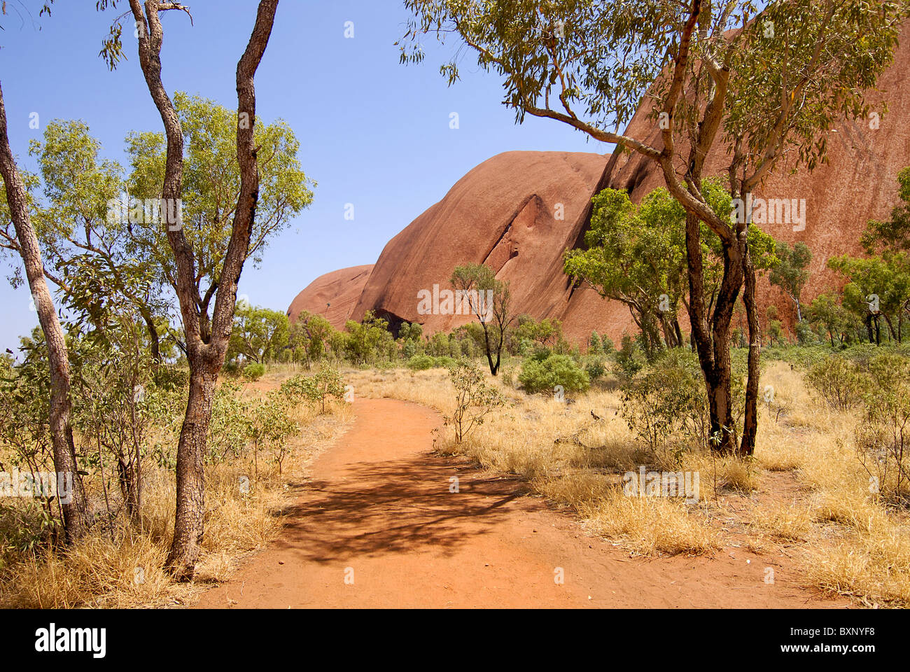 Uluru ayers rock under hi-res stock photography and images - Alamy