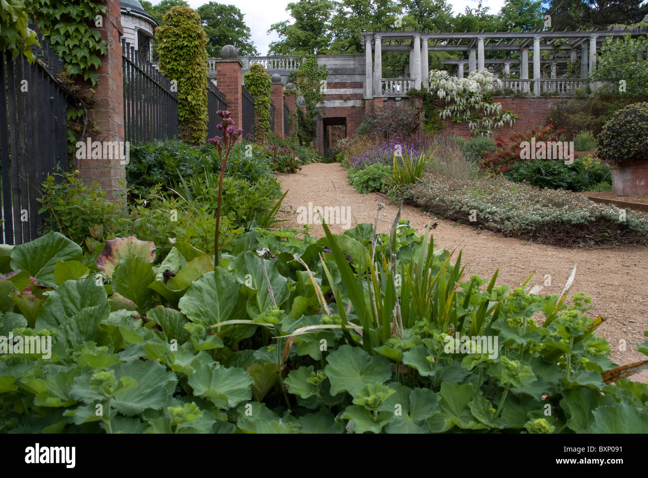 Shrubs and lavender plants in The Pergola Hill Garden Hampstead London ...