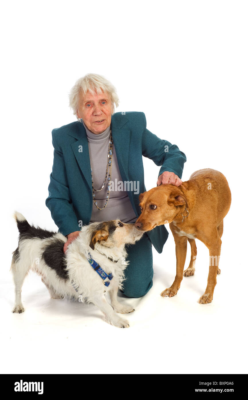 Woman dog in studio Cut Out Stock Images & Pictures - Alamy