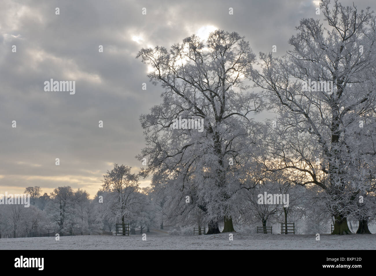 Snow covers landscape low hi-res stock photography and images - Alamy