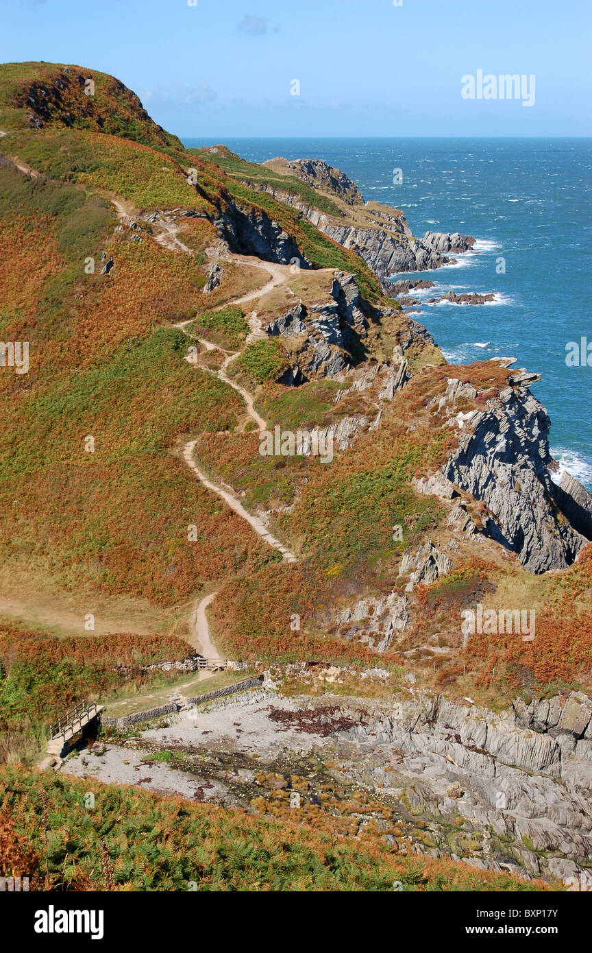 Coastal path from Damage Barton to Woolacombe, North Devon Stock Photo ...