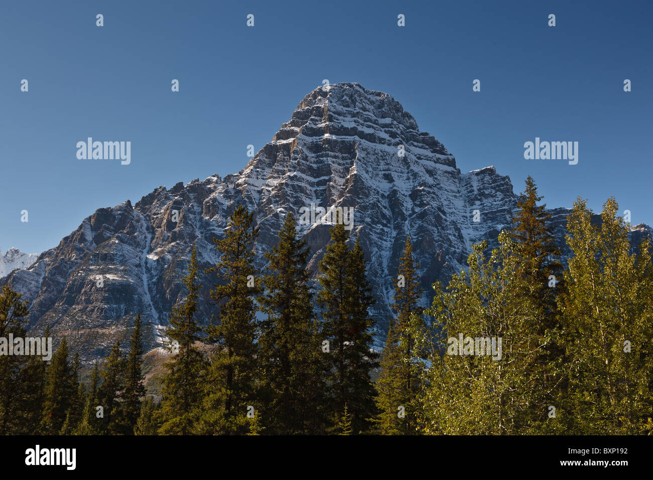 Mount Chephren, Icefields Parkway, Banff National Park, Alberta, Canada ...