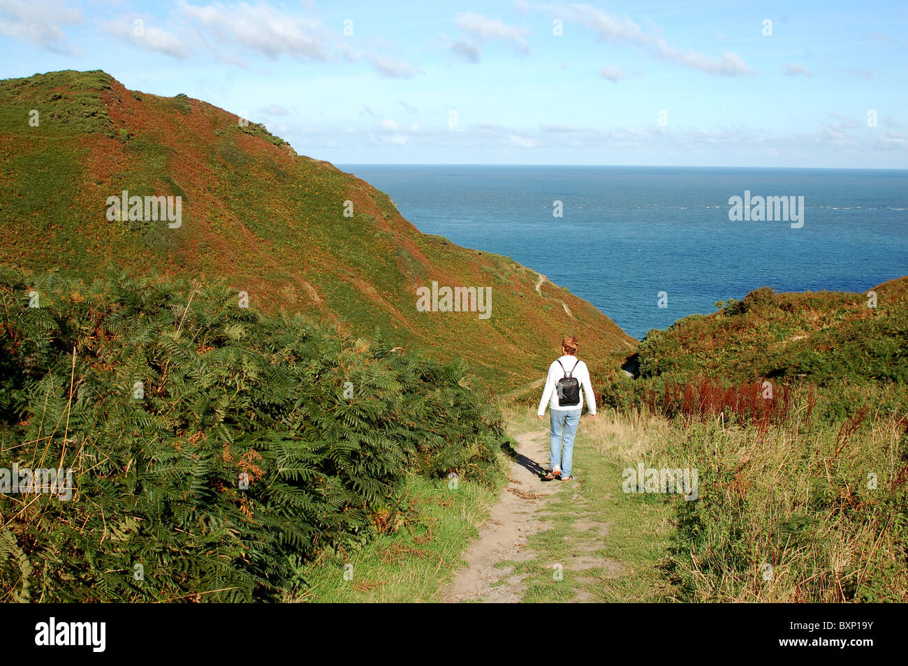Coastal path from Damage Barton to Woolacombe, North Devon Stock Photo ...