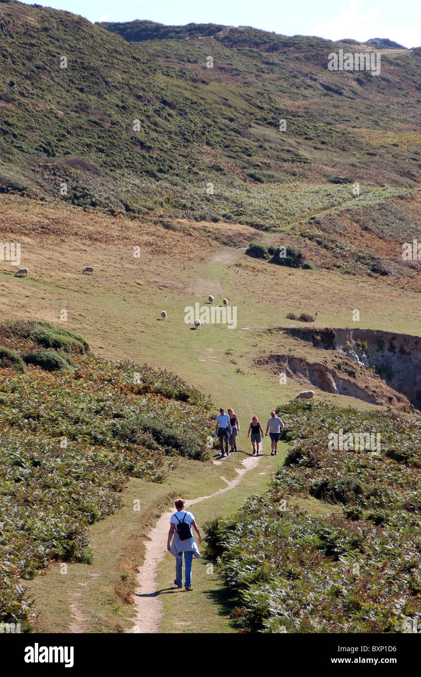 Coastal path from Damage Barton to Woolacombe, North Devon Stock Photo ...