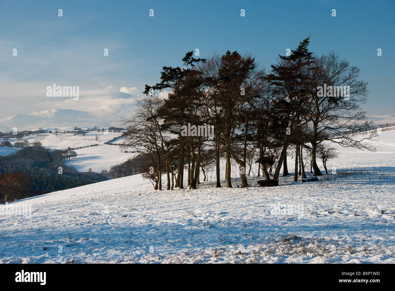 Winter Scene North Wales UK Stock Photo - Alamy