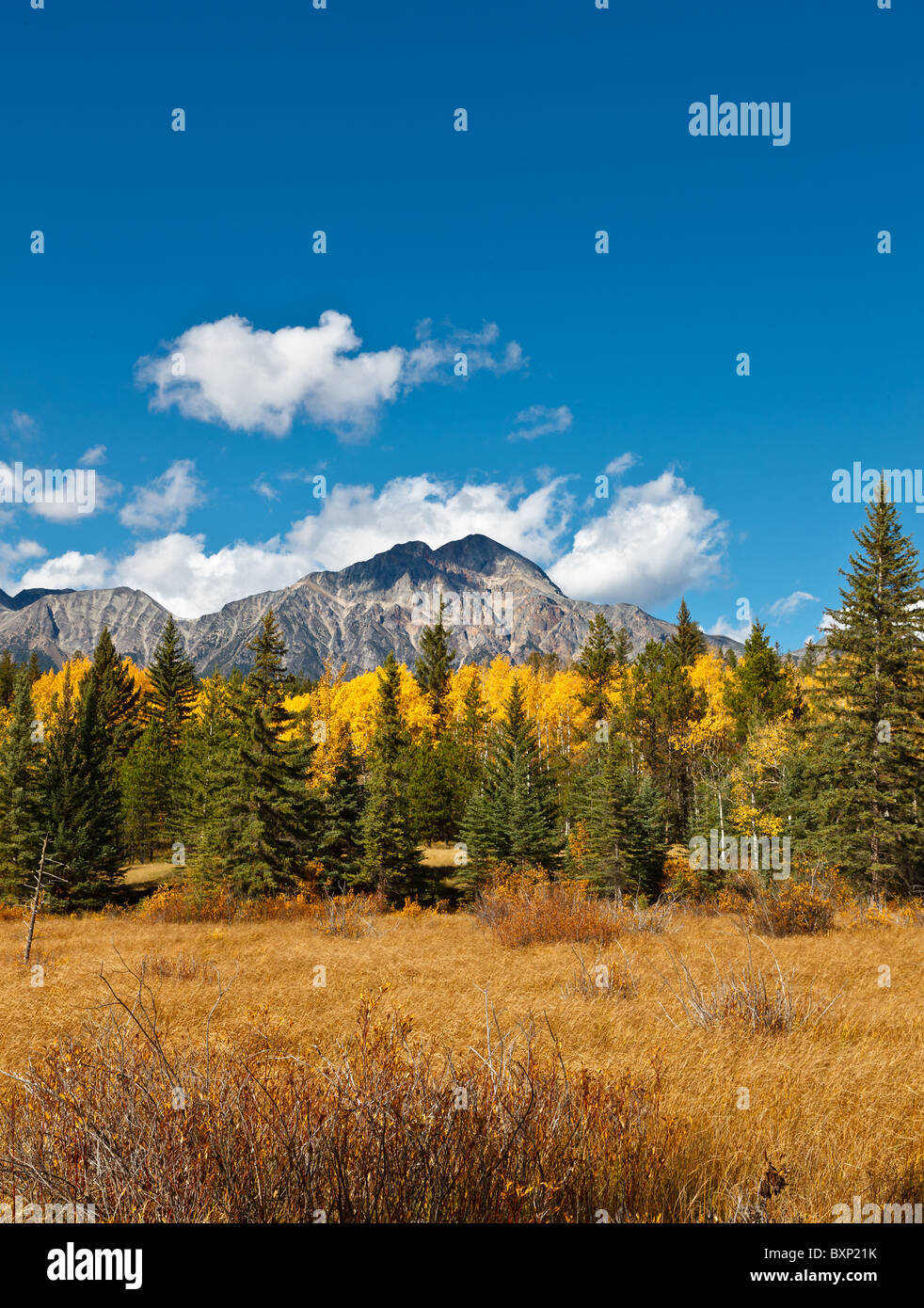 Pyramid Mountain, Jasper National Park, Alberta, Canada Stock Photo - Alamy