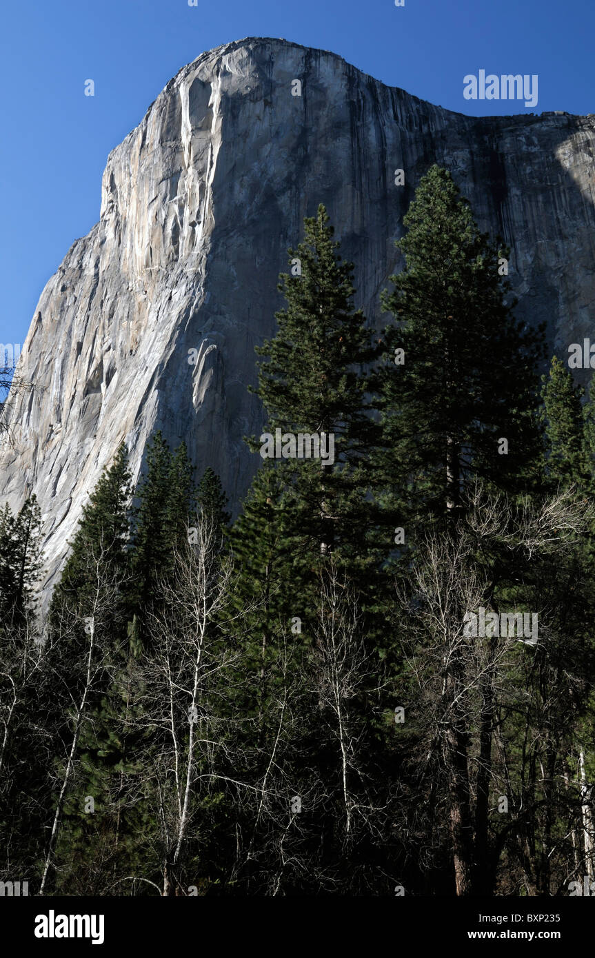 El Capitan Yosemite Valley California USA closeup detail top edge Stock ...