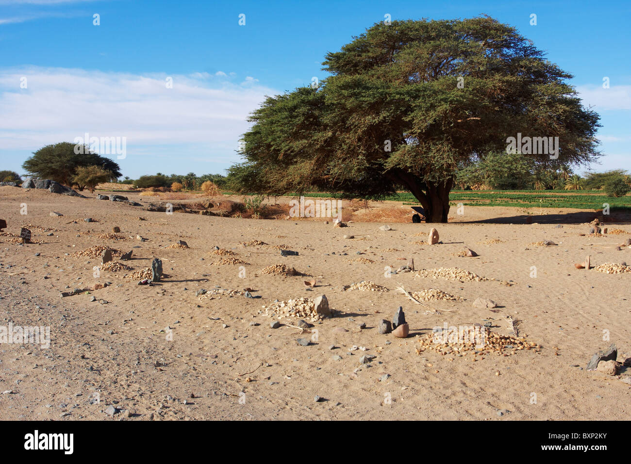 Burial ground on the outskirts of Mafrakka village in northern Sudan ...