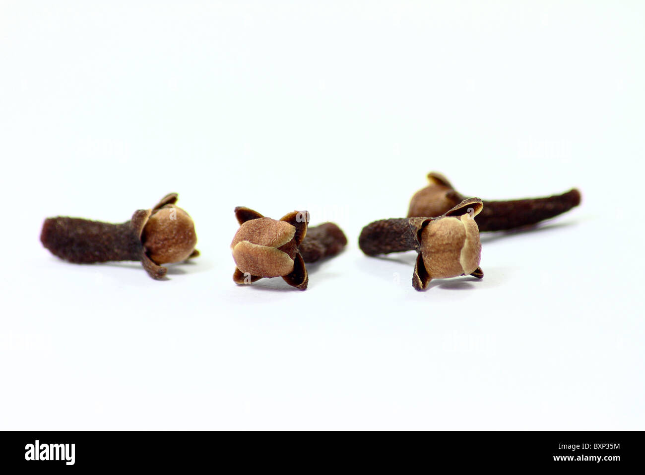 Cloves are the aromatic flower buds of a tree in the family Myrtaceae ...