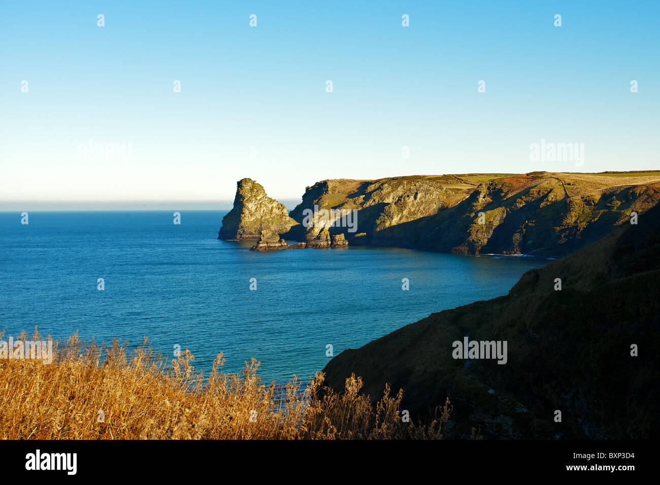 Bossiney Haven, Cornwall Stock Photo - Alamy