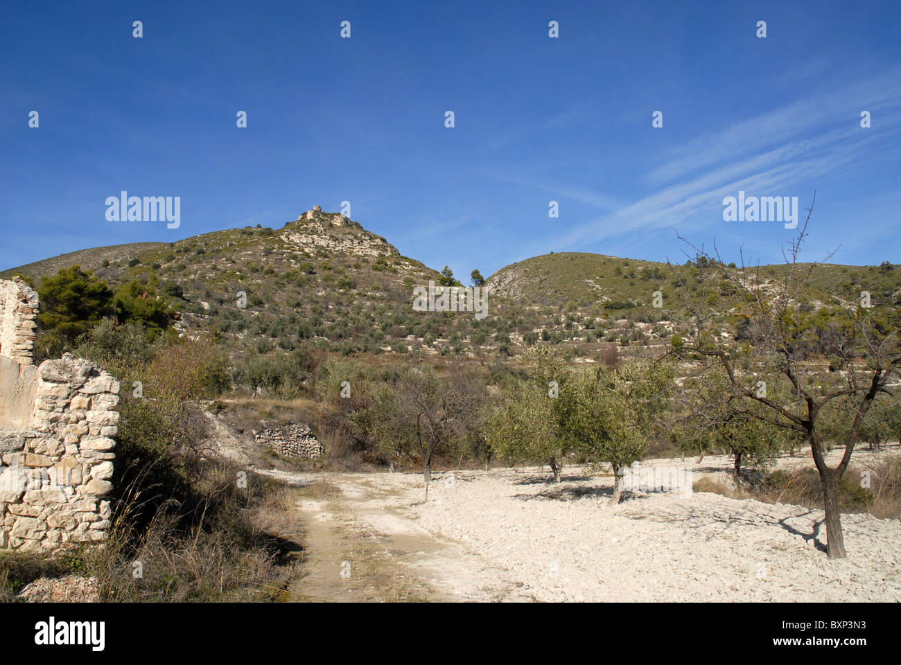 Seta valley hi-res stock photography and images - Alamy
