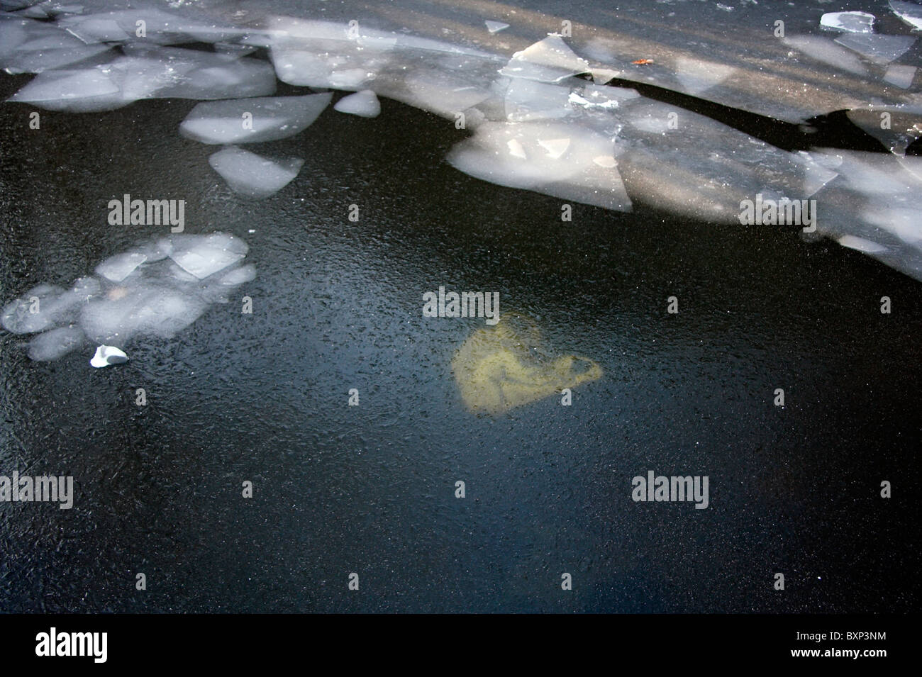 Pieces of broken ice on a frozen lake, Alexandra Park, Moss Side ...