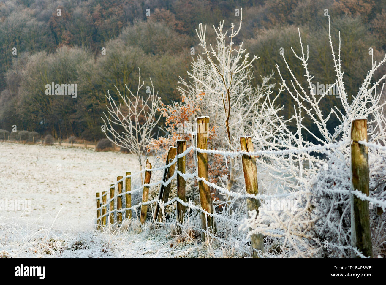 winter barbed wire fence england uk Stock Photo - Alamy