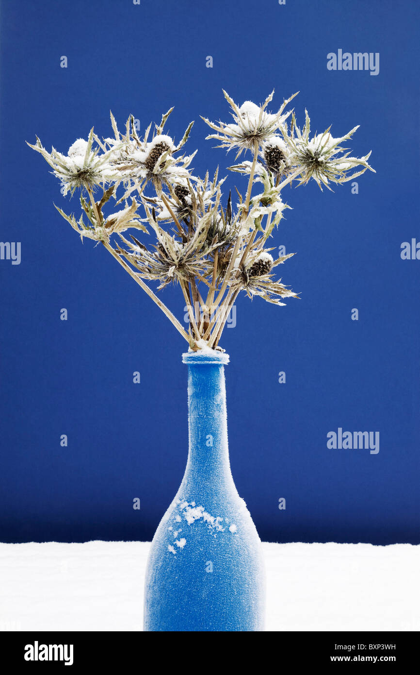 Outdoor still life hi-res stock photography and images - Alamy