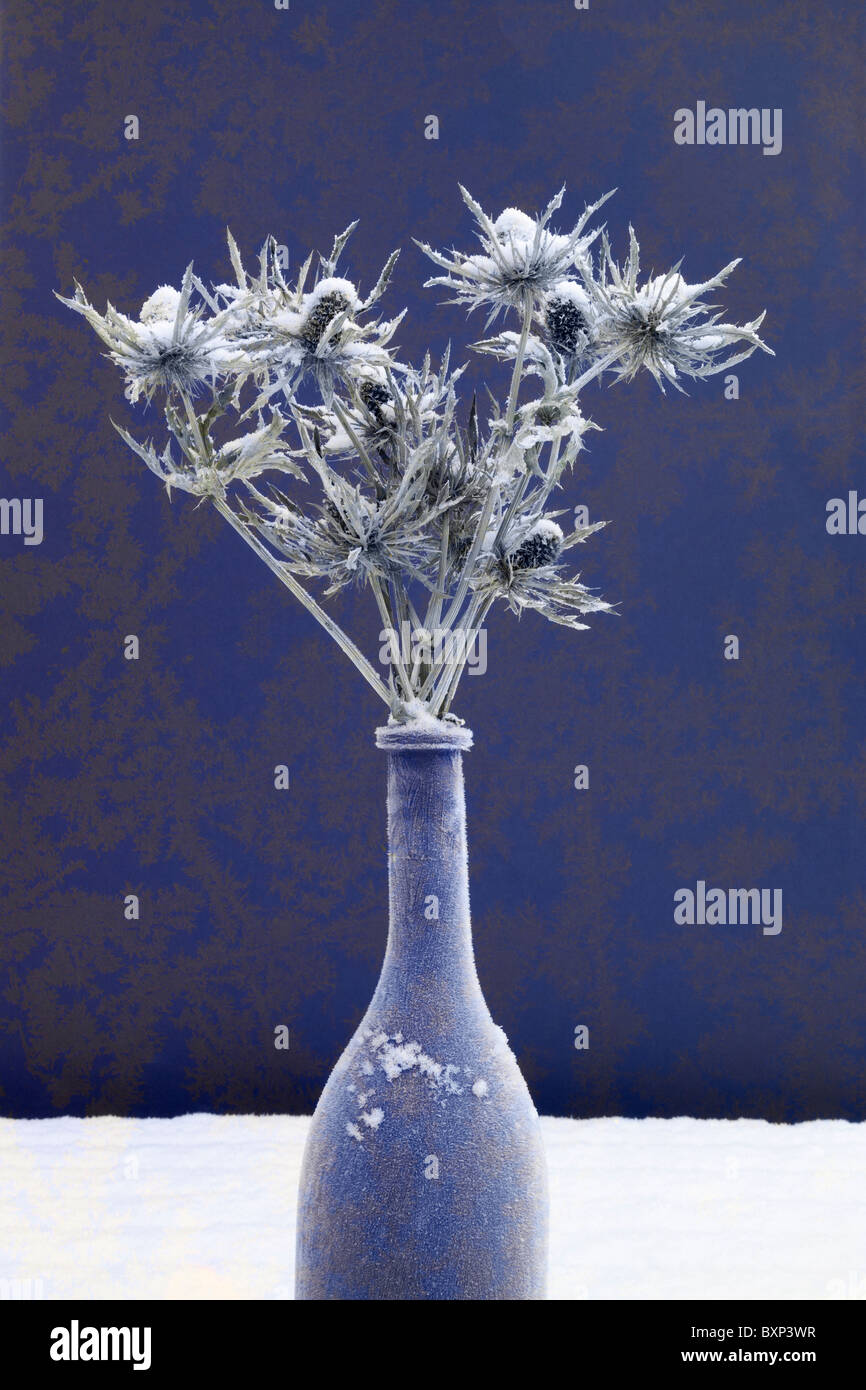 Blue frost snow cold outdoor icy bottle hi-res stock photography and ...