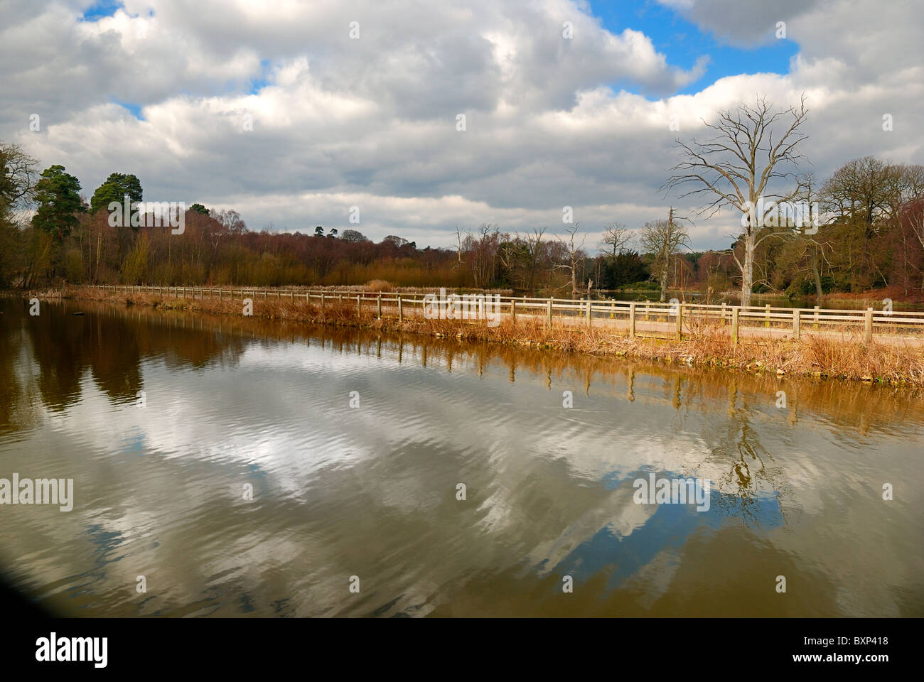 pond in clumber park nottinghamshire england uk Stock Photo - Alamy