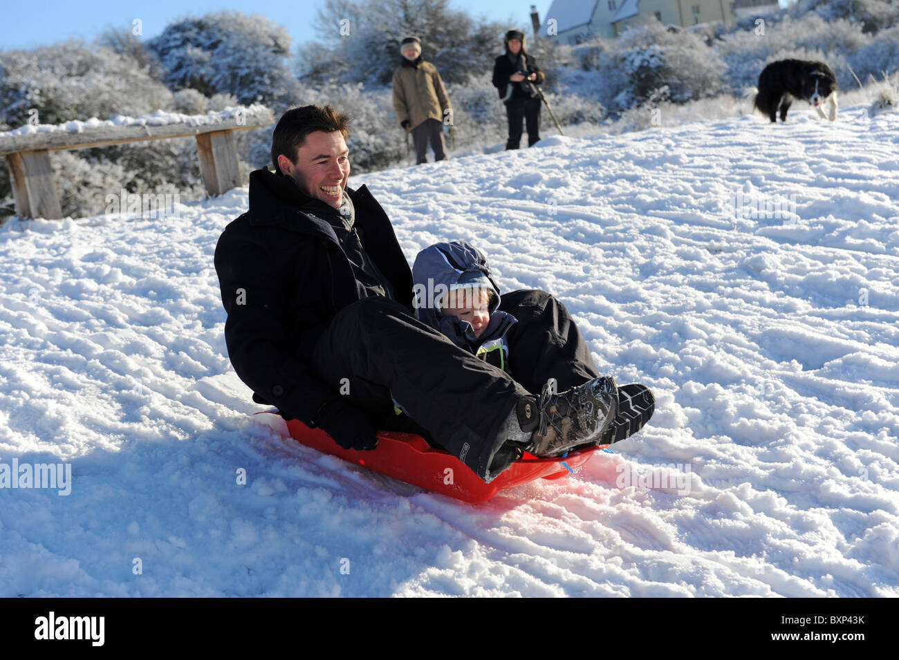 Father and son on sledge in winter snow England Uk Stock Photo - Alamy