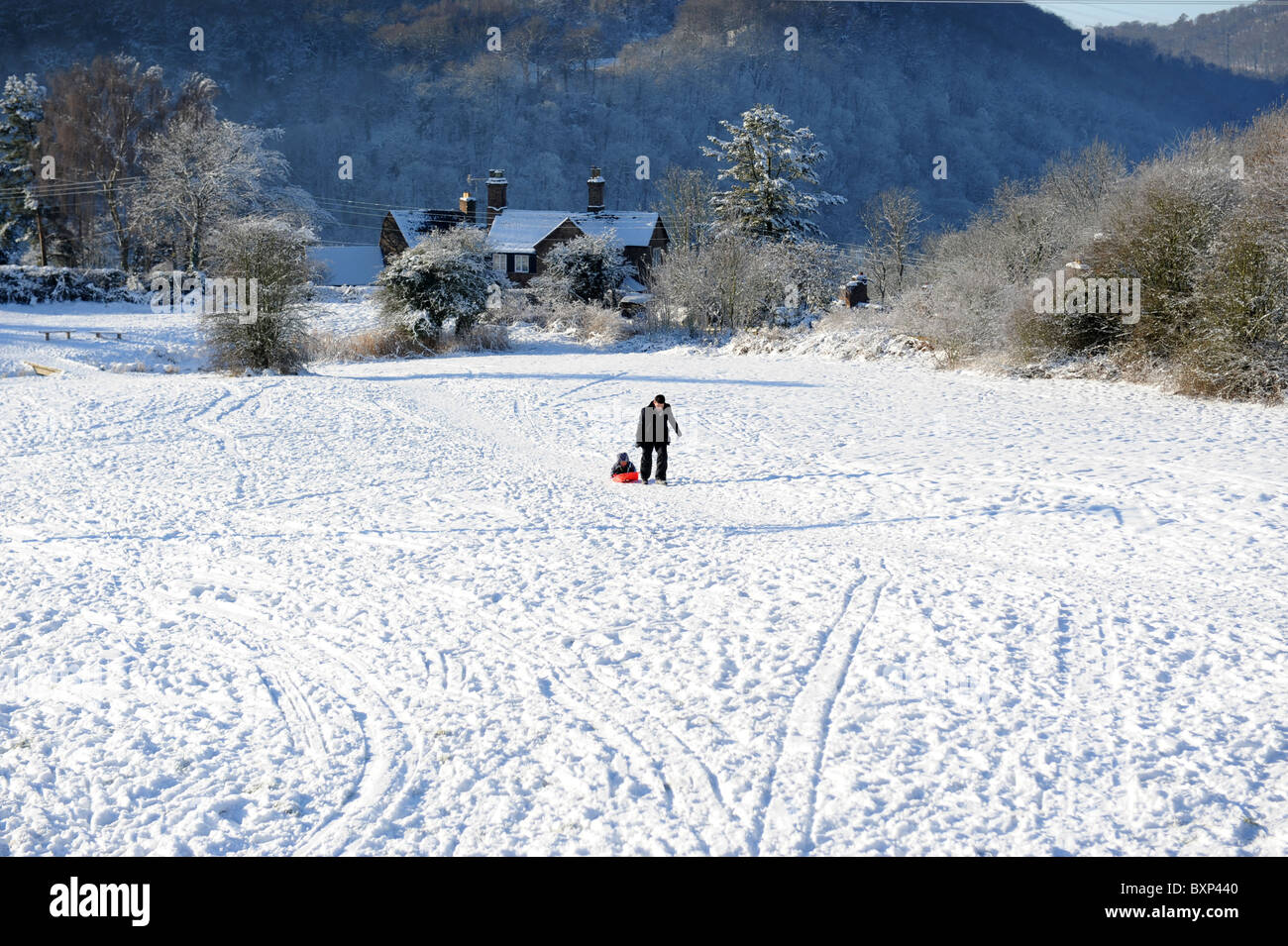 Man pulling child on sledge in winter snow England Uk Stock Photo - Alamy