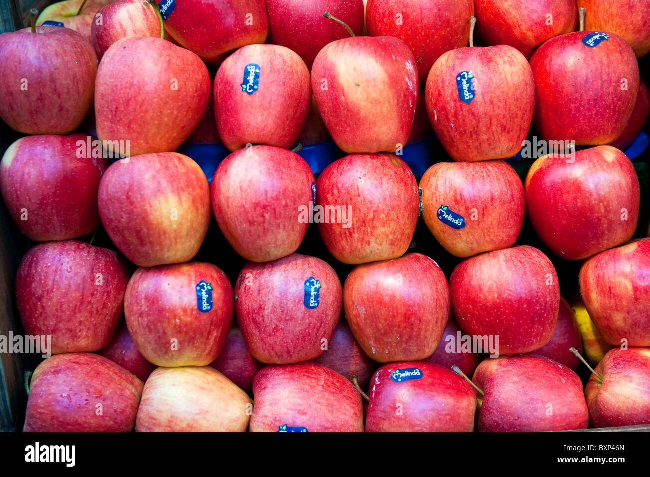 Apples on display in rows Stock Photo - Alamy