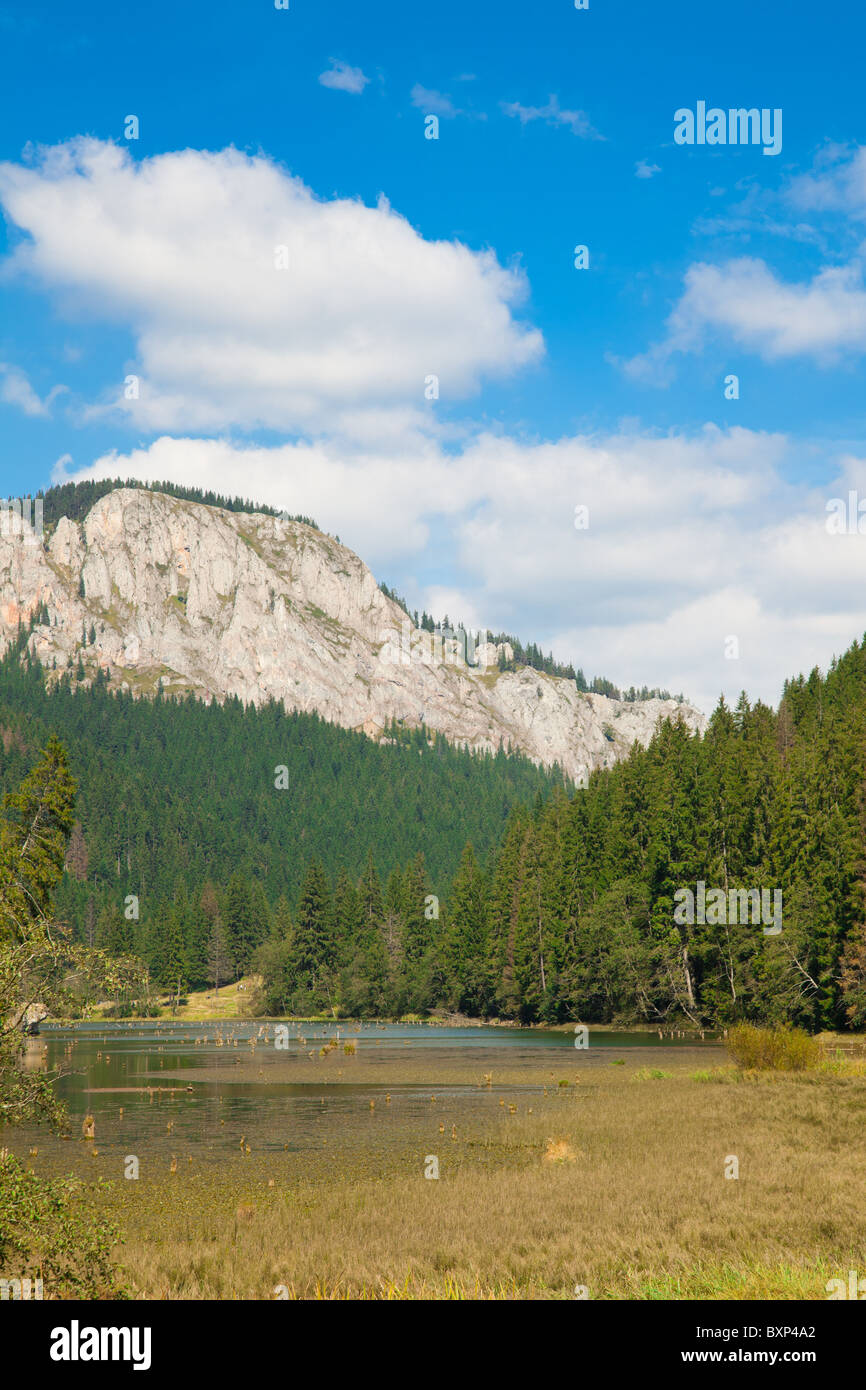 Vertical landscape of the back of the Red Lake and Hasmas Mountains in ...