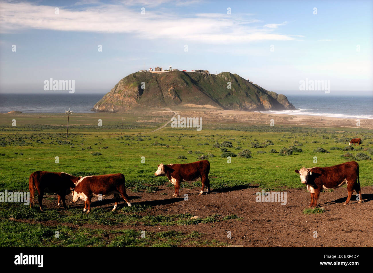Point Sur Lighthouse state historic park Big Sur Monterey County ...