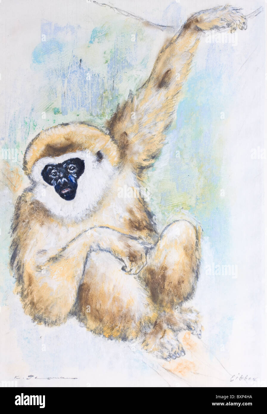 Gibbon drawing hi-res stock photography and images - Alamy