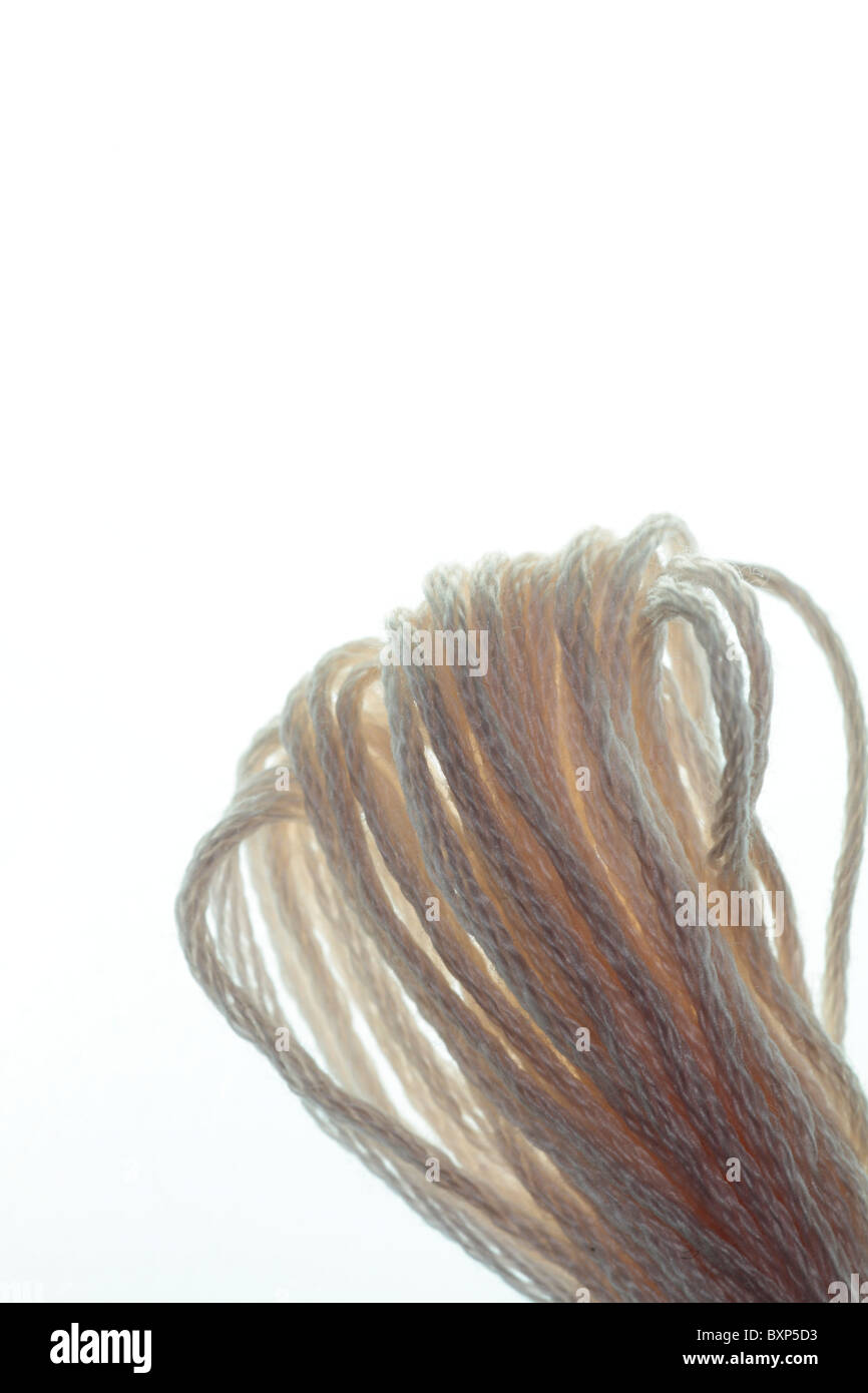 cream coloured cotton thread with white space in close-up Stock Photo ...