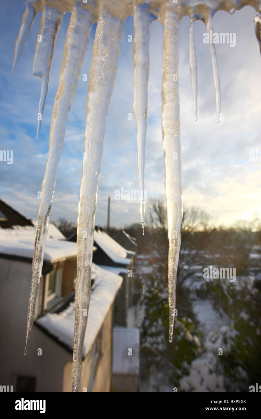 Large icicles hanging in front of a window, down from the roof ...