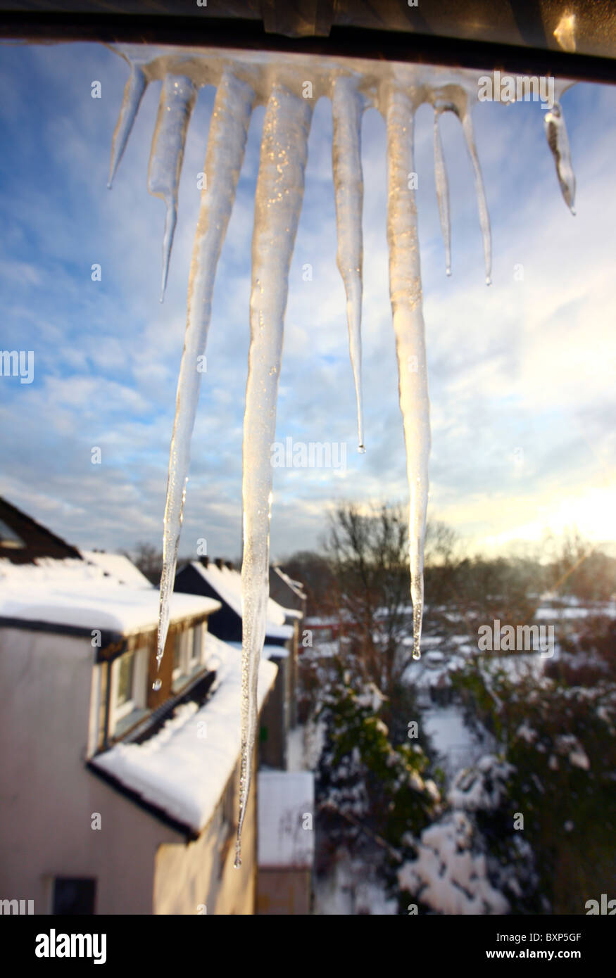 Large icicles hanging in front of a window, down from the roof ...