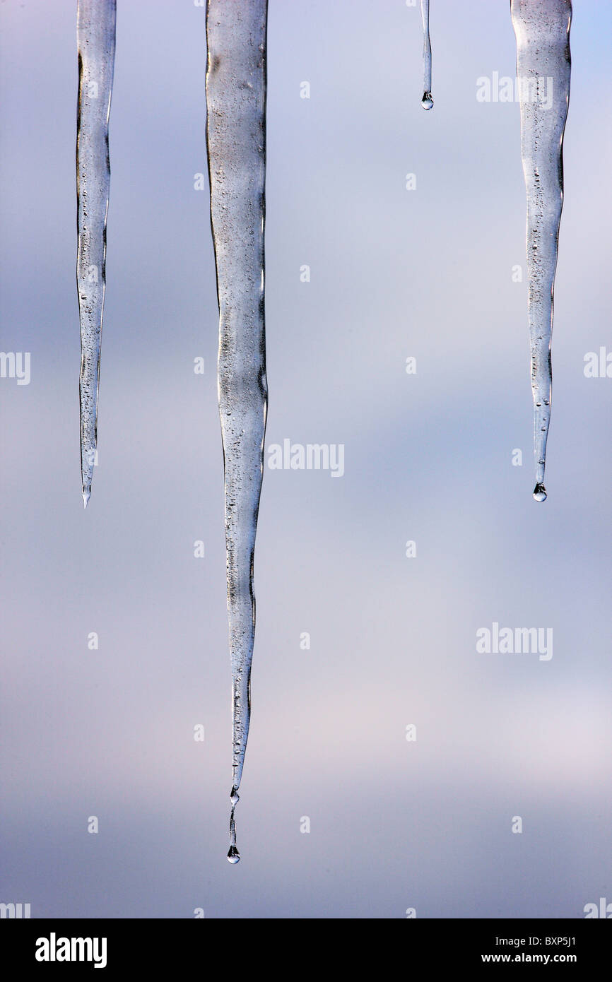 Large icicles hanging in front of a window, down from the roof ...