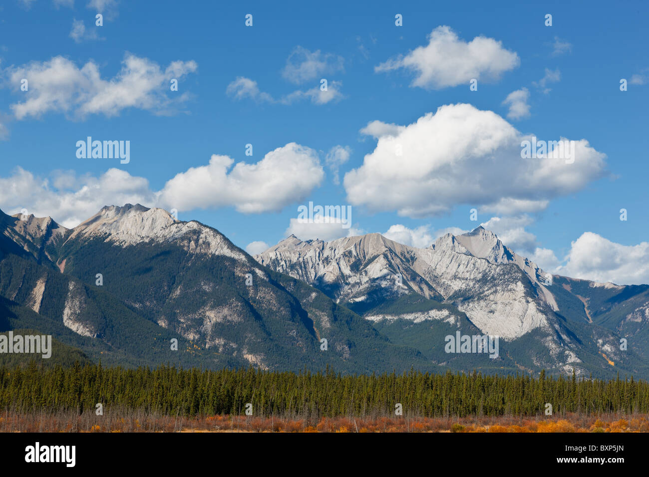 Snaring River, Jasper National Park, Alberta, Canada Stock Photo - Alamy
