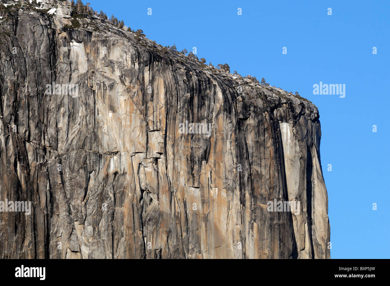 Cliff Edge Close Up