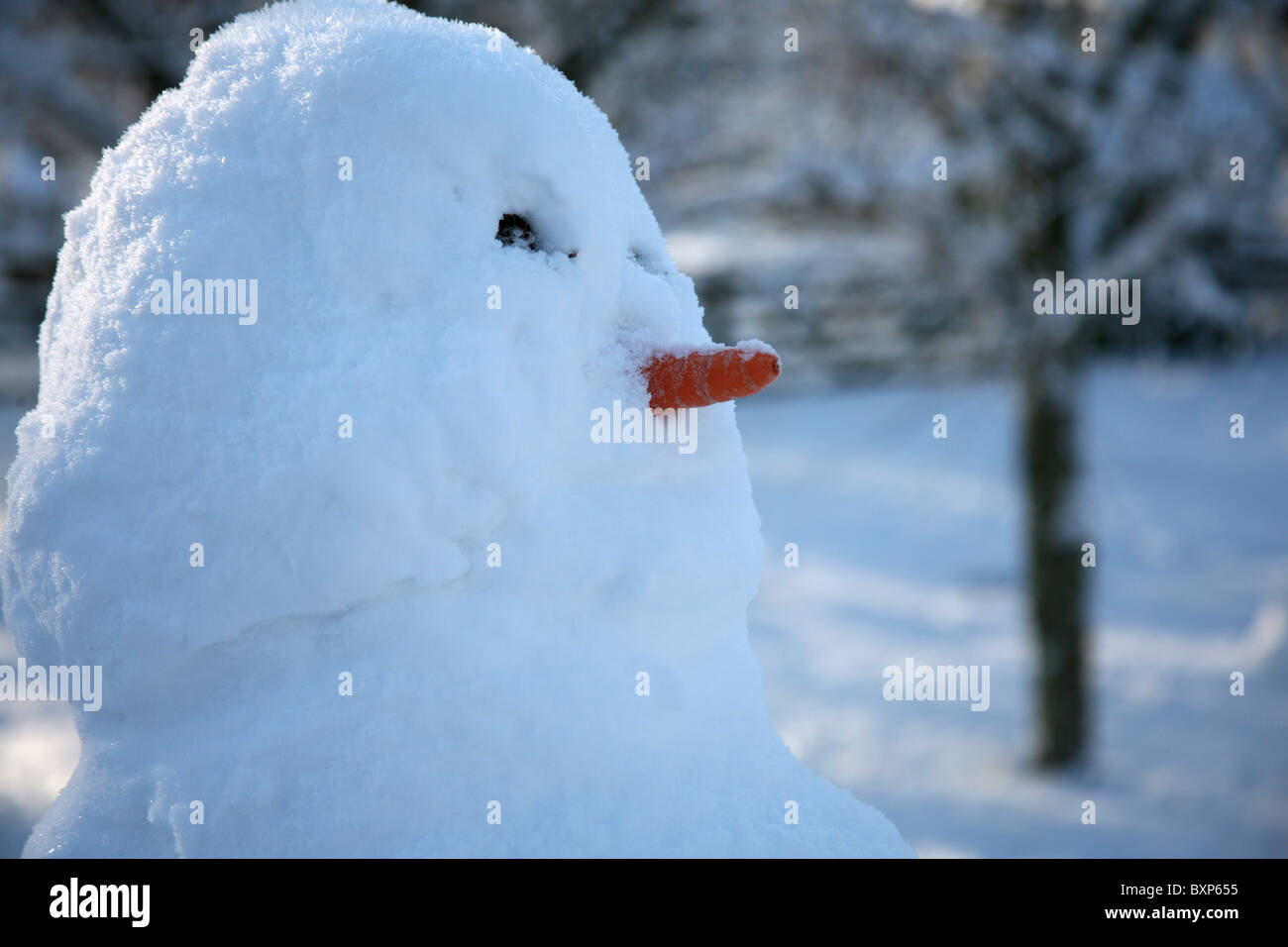 Portrait of a snowman Stock Photo - Alamy