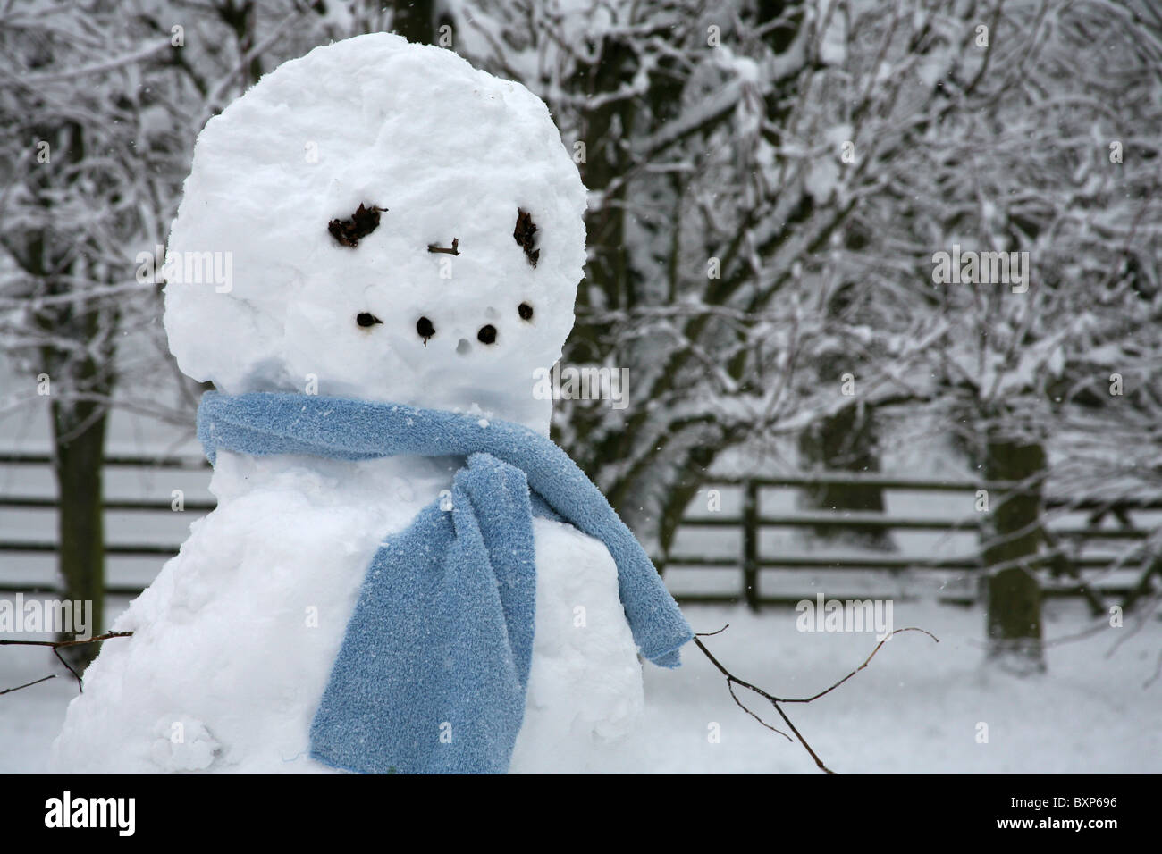 Portrait of a snowman Stock Photo - Alamy