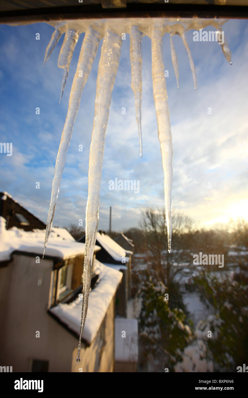Large icicles hanging in front of a window, down from the roof ...