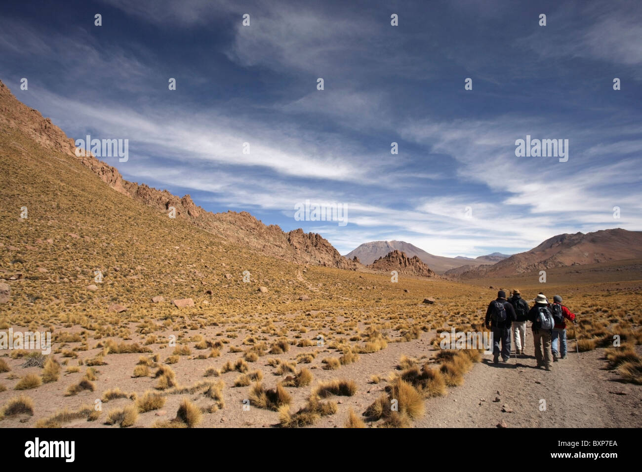 Coya hi-res stock photography and images - Alamy