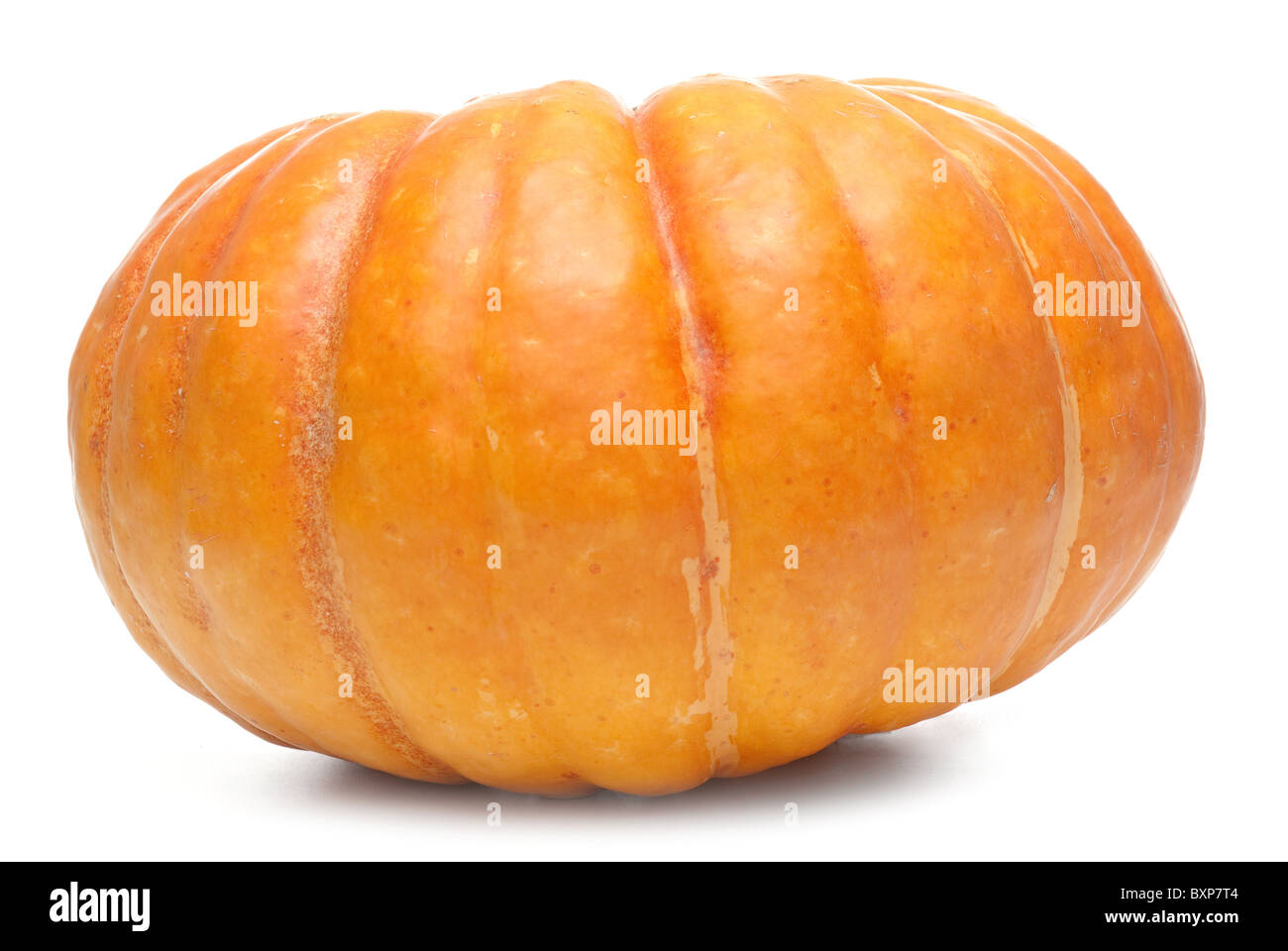 Single fresh pumpkin isolated on white background Stock Photo - Alamy
