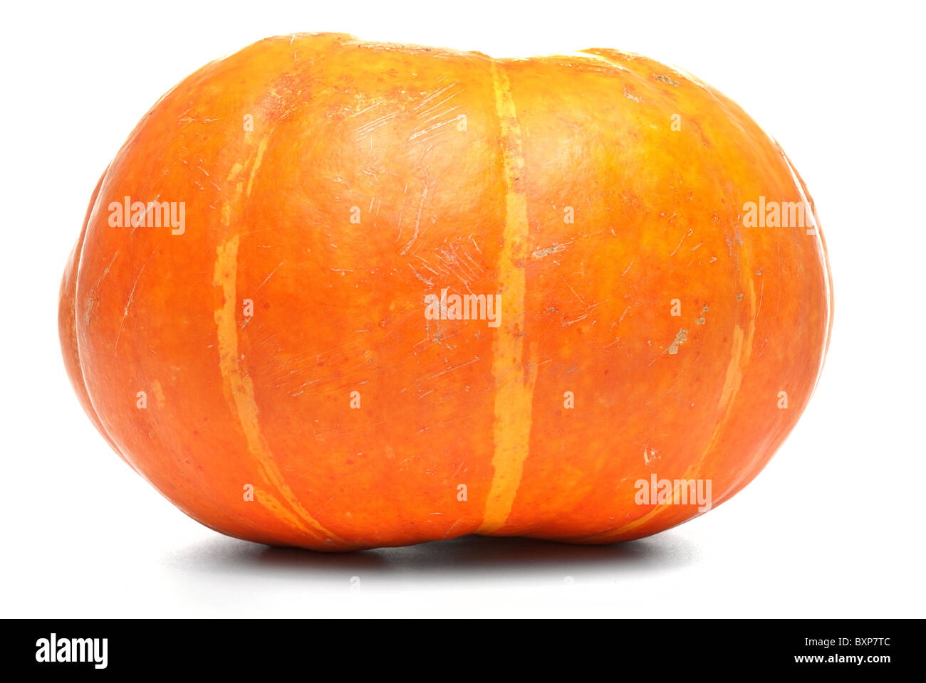 Single fresh pumpkin isolated on white background Stock Photo - Alamy