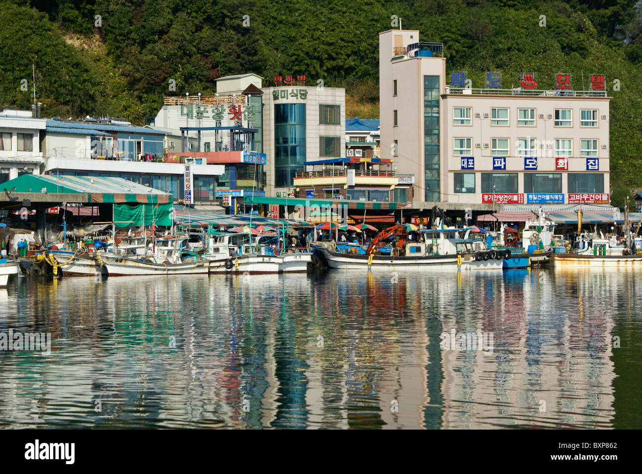 Sokcho harbor and fish market, South Korea Stock Photo - Alamy