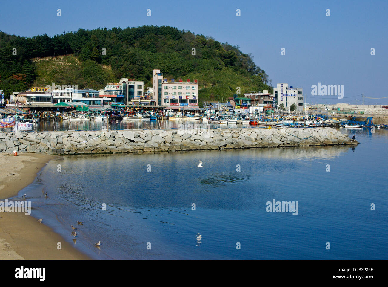 Sokcho harbor and fish market, South Korea Stock Photo - Alamy