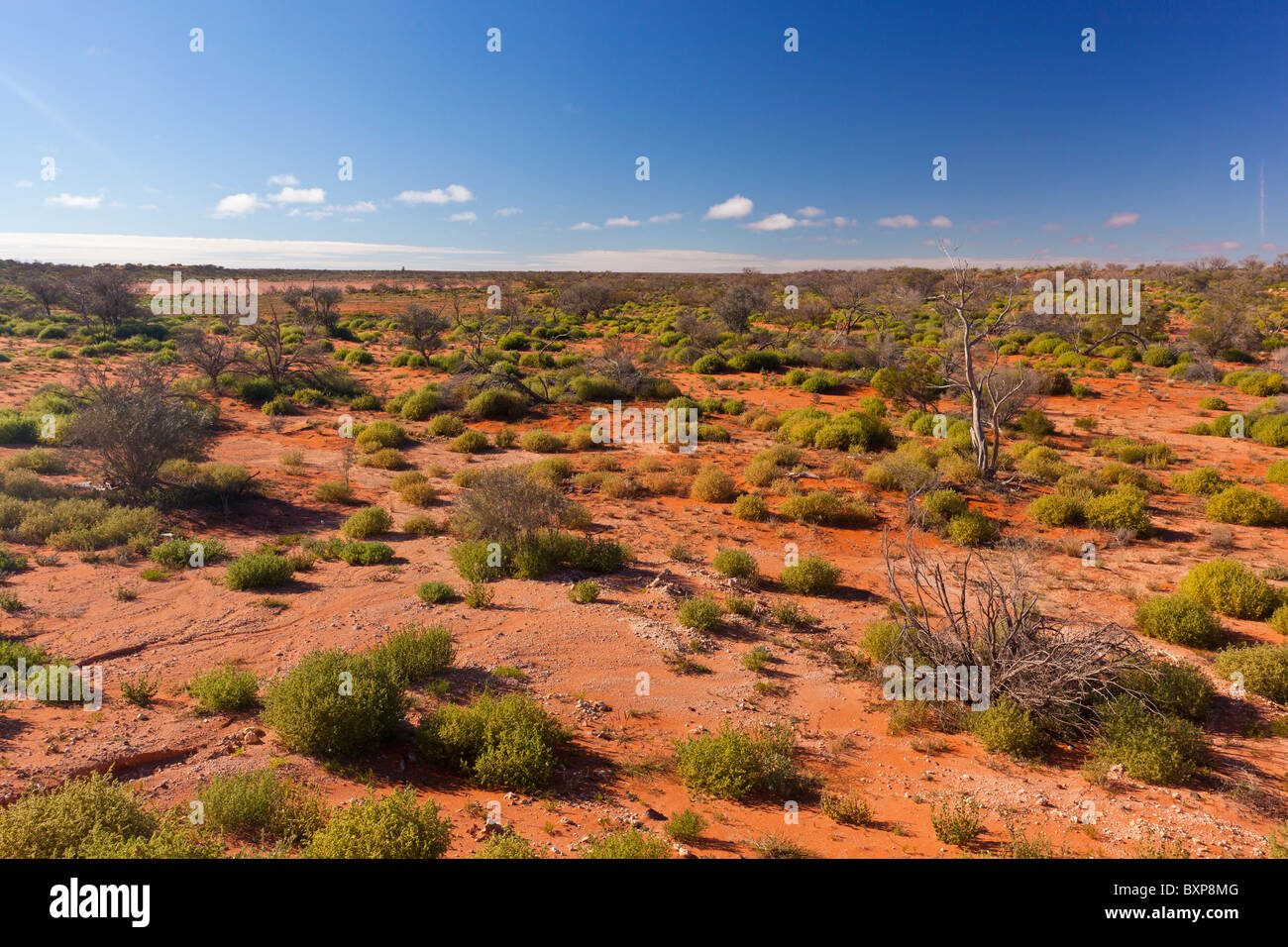 Red sandy desert country on the road between Roxby Downs and Bopechee ...