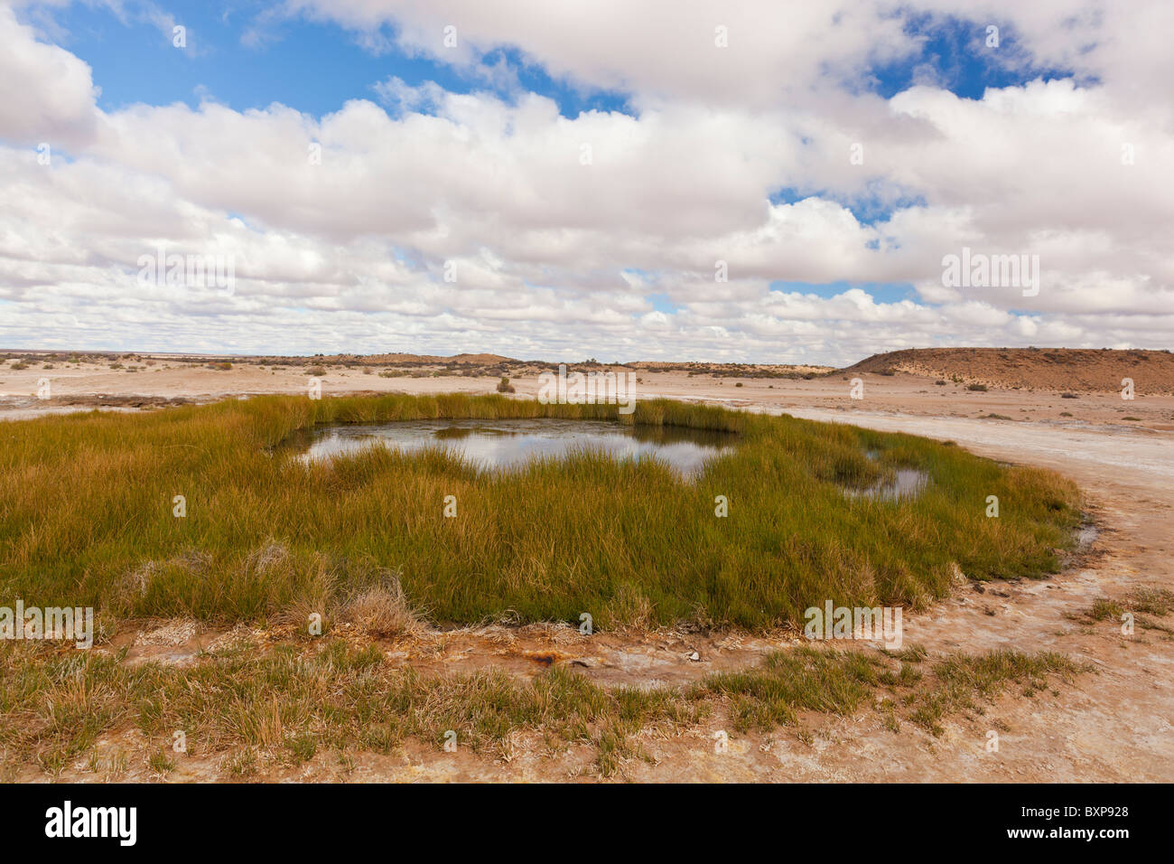 Wabma kardarbu mound springs conservation park hi-res stock photography ...